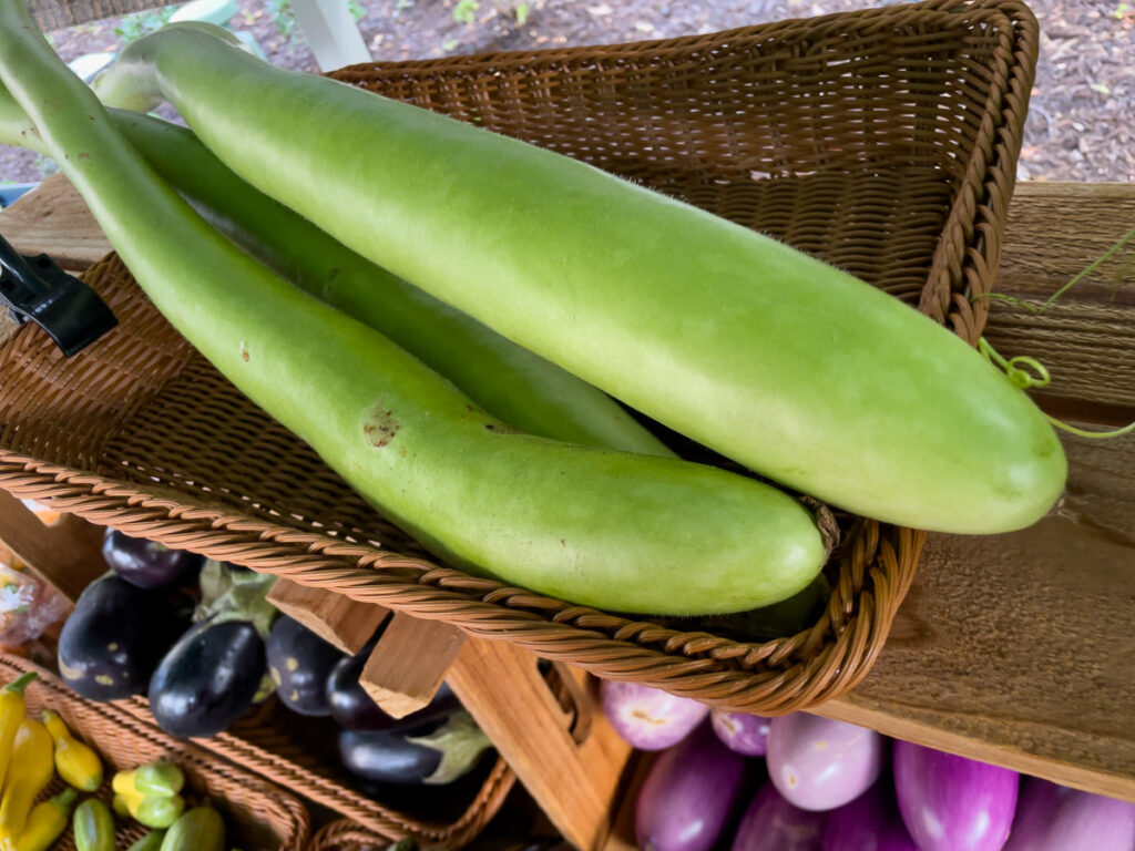 Spaghetti Cucuzza » Recipe » zous chef